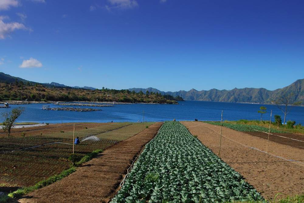 Bali Trekking Sunrise and Pakerisan River Tubing Tour