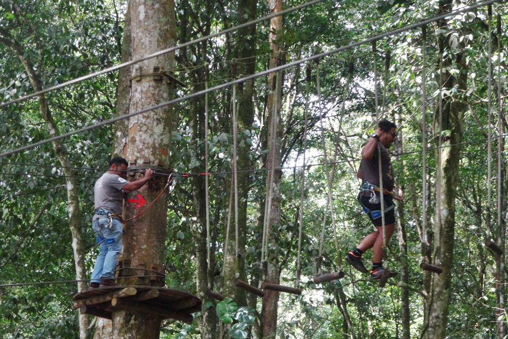 Bali Treetop Bedugul Adventure Tour
